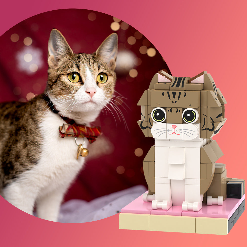Tabby Cat 1 Cat Full Body Customizable Brick Figure – Compass Gift Shop