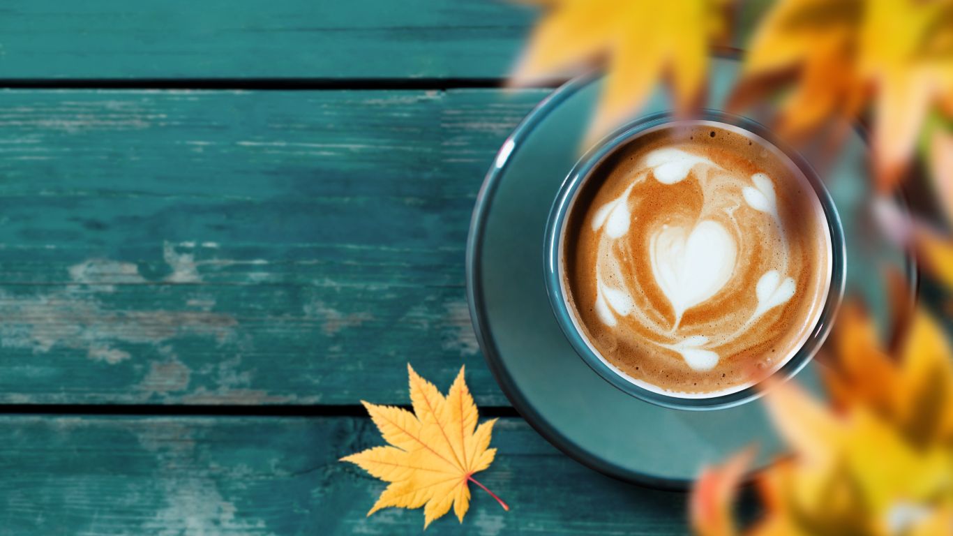 Compass Gift Shop - Your Guide to Happy Gifts