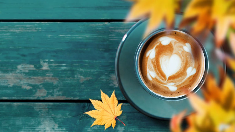 Compass Gift Shop - Your Guide to Happy Gifts